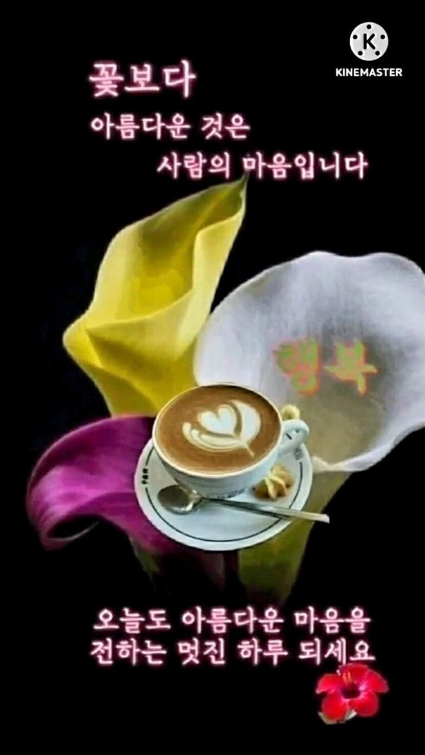 굿모닝좋은아침 행복한하루되세요 화이팅입니다요 뉴스트림