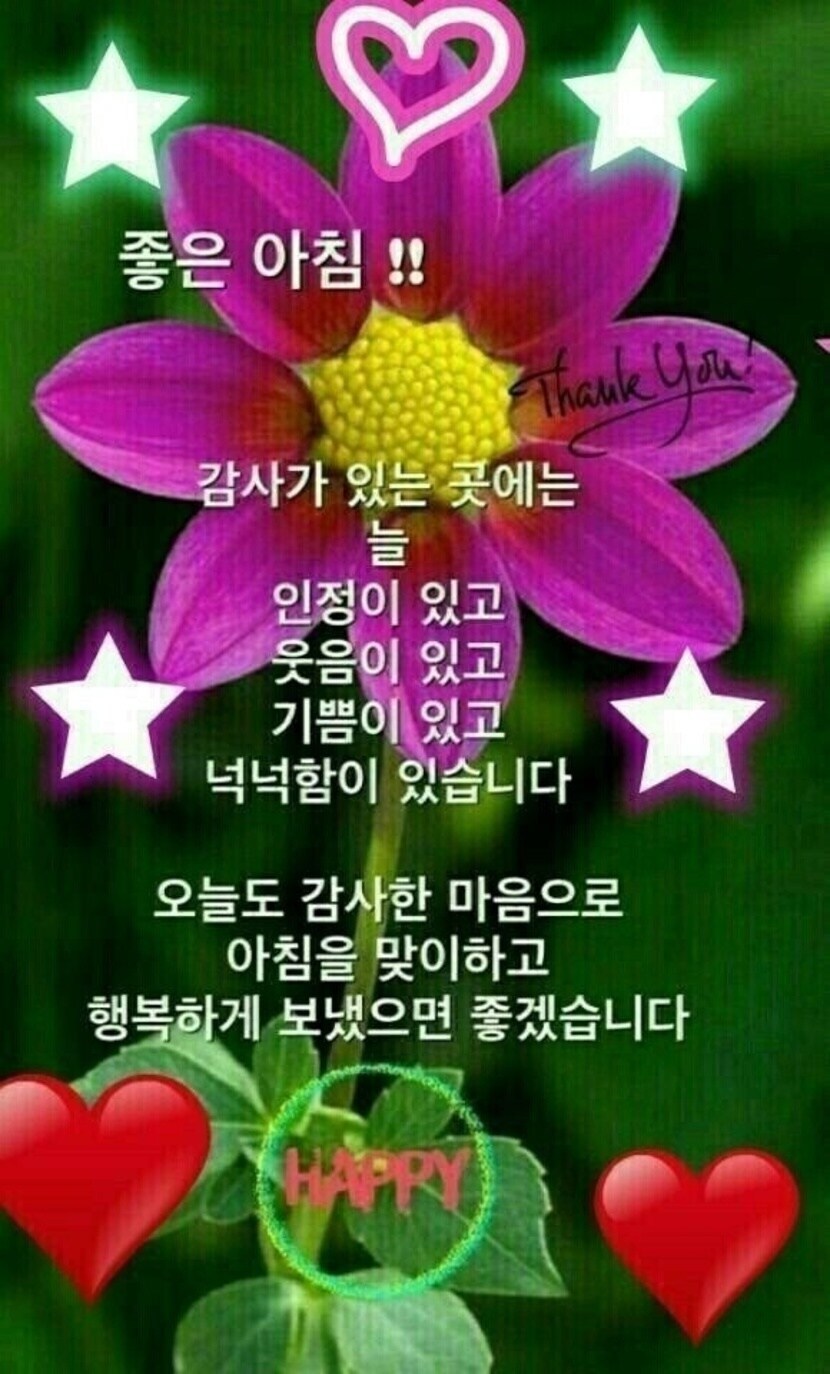 굿모닝좋은아침 오늘도건강잘챙기시고 행복한하루되세요 뉴스트림