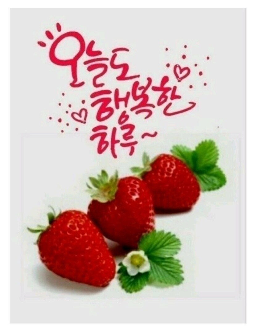 오늘도 행복한 하루보내세요 자유게 캐시피드