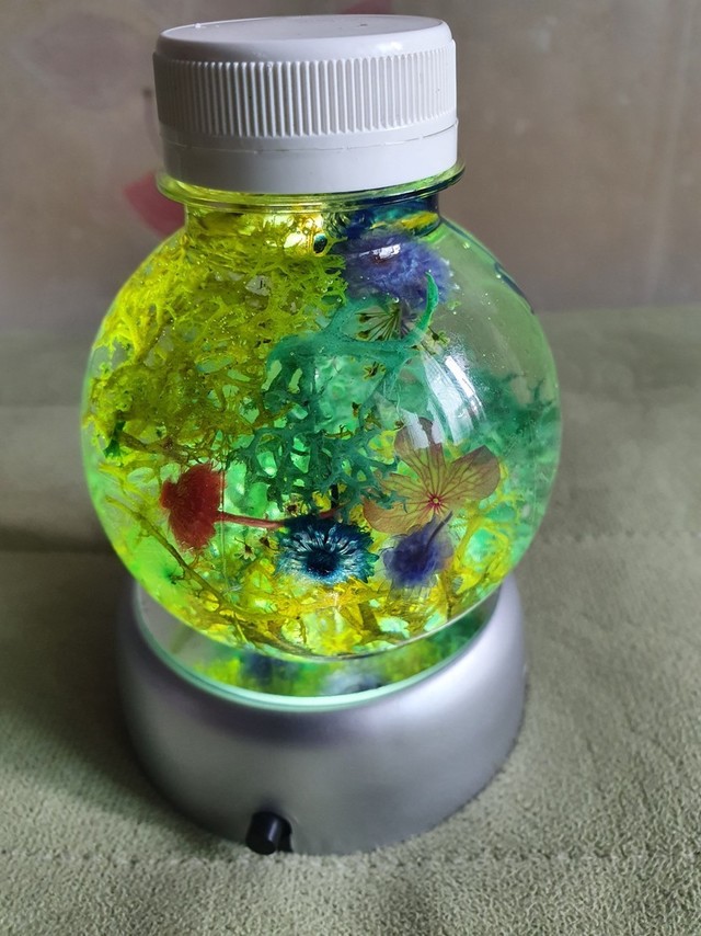 67. 🌺하바리움이란? 🌸💐 | 뉴스트림