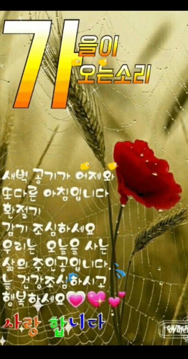 😎😎힘든일이생길때 | 뉴스트림