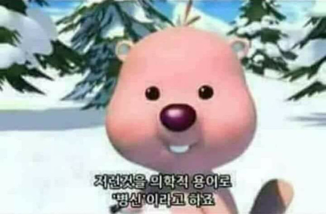 웃긴짤들 ㅋㅋㅋfeat.루피 | 자유게 | 캐시피드