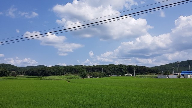 시골에 댕겨왔어요 | 뉴스트림