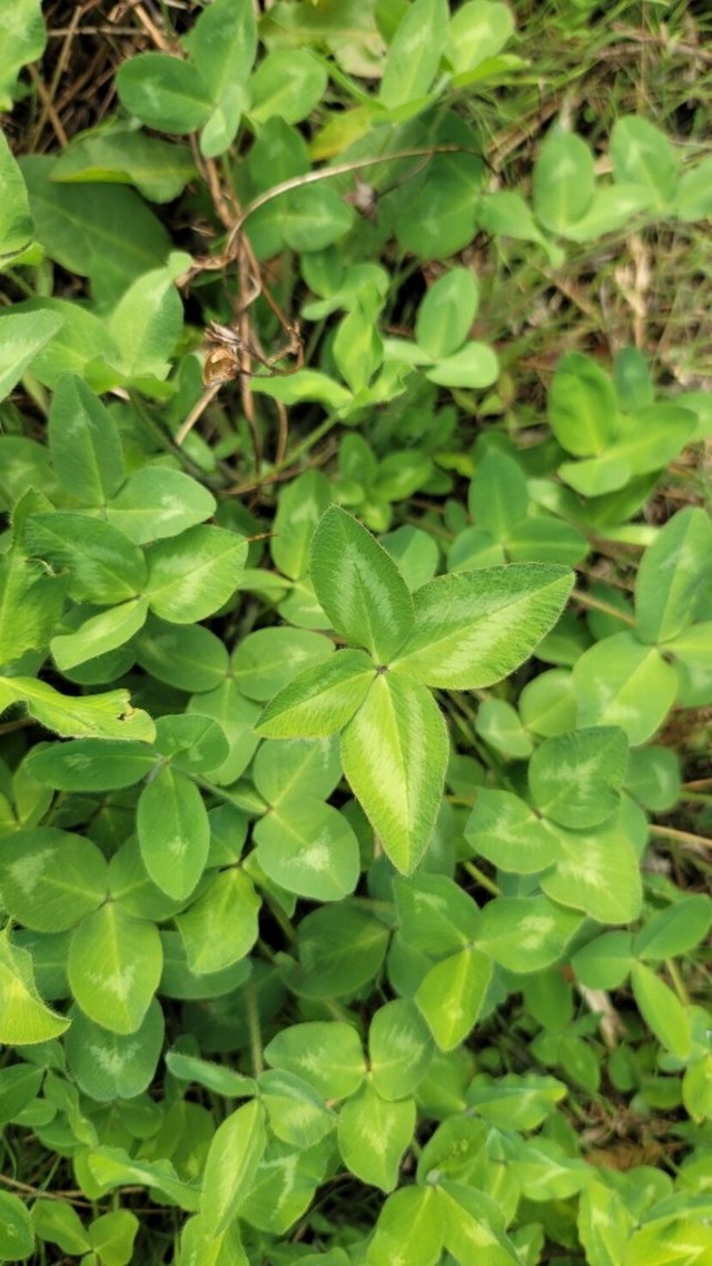 내년엔 웃으면서 행복 하게 ~~ | 뉴스트림