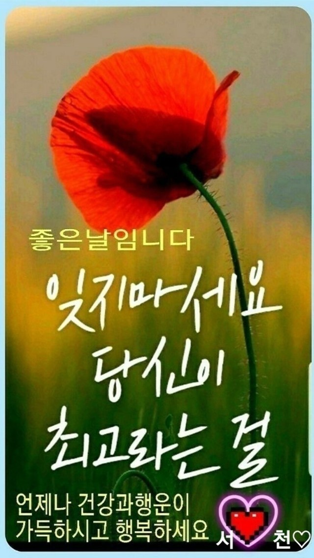 굿모닝좋은아침 오늘도건강하시고 행복한휴일되세요 뉴스트림