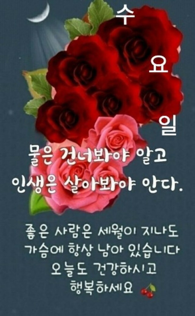 수요일엔 빨간장미를 뉴스트림